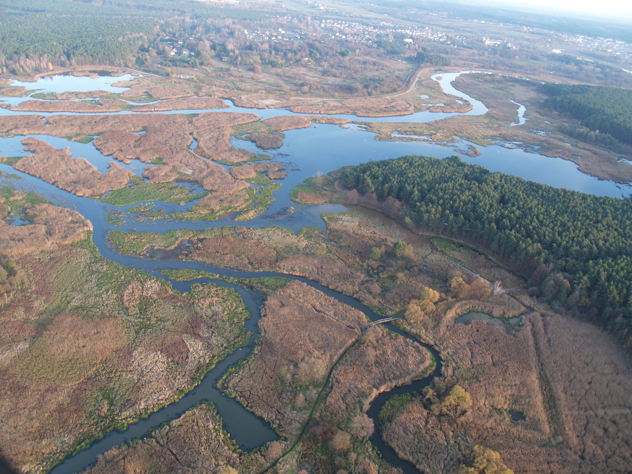Wynajem kajaków Sulejów - Kajaki Kurnędz Pilica
